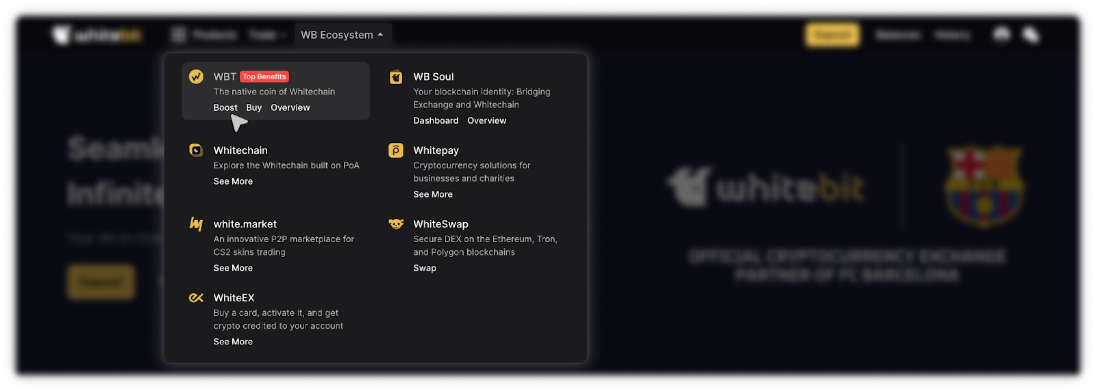 Features of the 'Holding' and 'Owning' functionality of WBT Coin on WhiteBIT – WhiteBIT